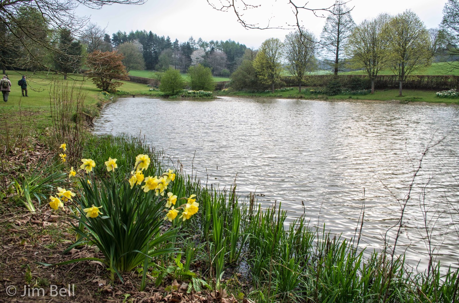 Out & About: Wootton Lodge, The JCB Testing Track and Drowned Rats.