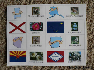 Play 'n' Learn: State Symbols