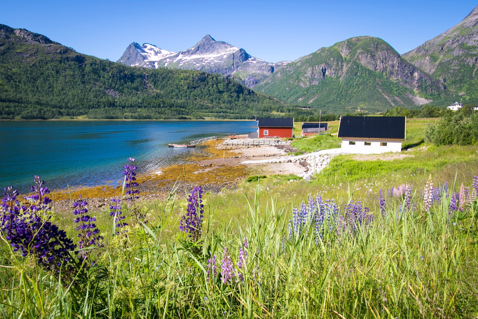 Norvegia on the road: nono giorno, Lofoten, itinerario e consigli ...