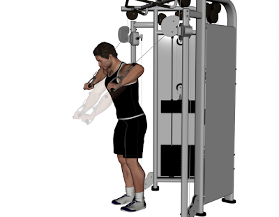 Cable Chest Press On Standing ~ Gym Excercise& Fitness Workouts