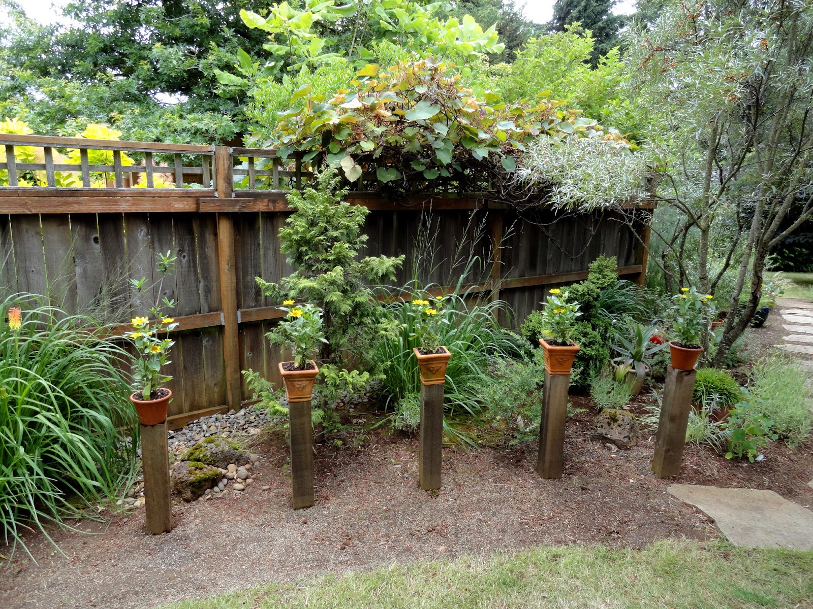 danger garden: The Marsh Garden, a stop on the 2016 Salem Study Weekend