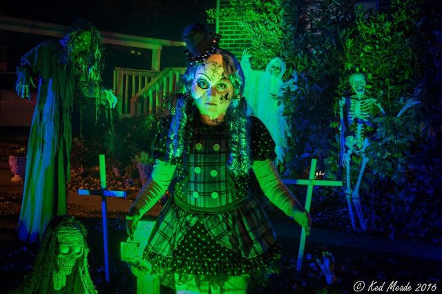 Something wicKED this way comes....: Halloween Night in The Wicked Woods