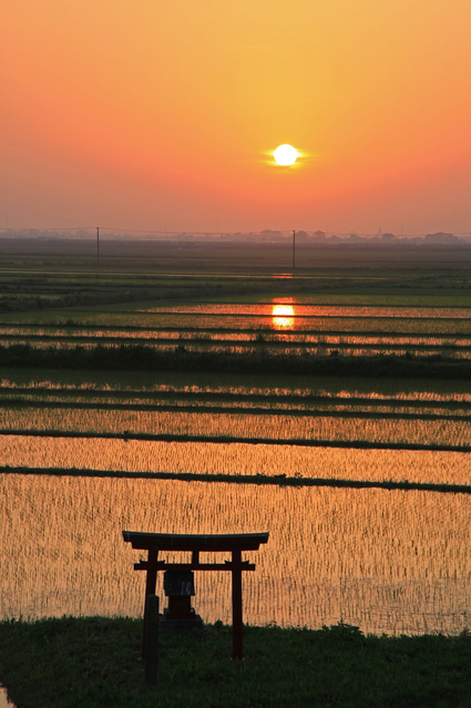 Small shrines in Japan / Hokora / Shinto concept