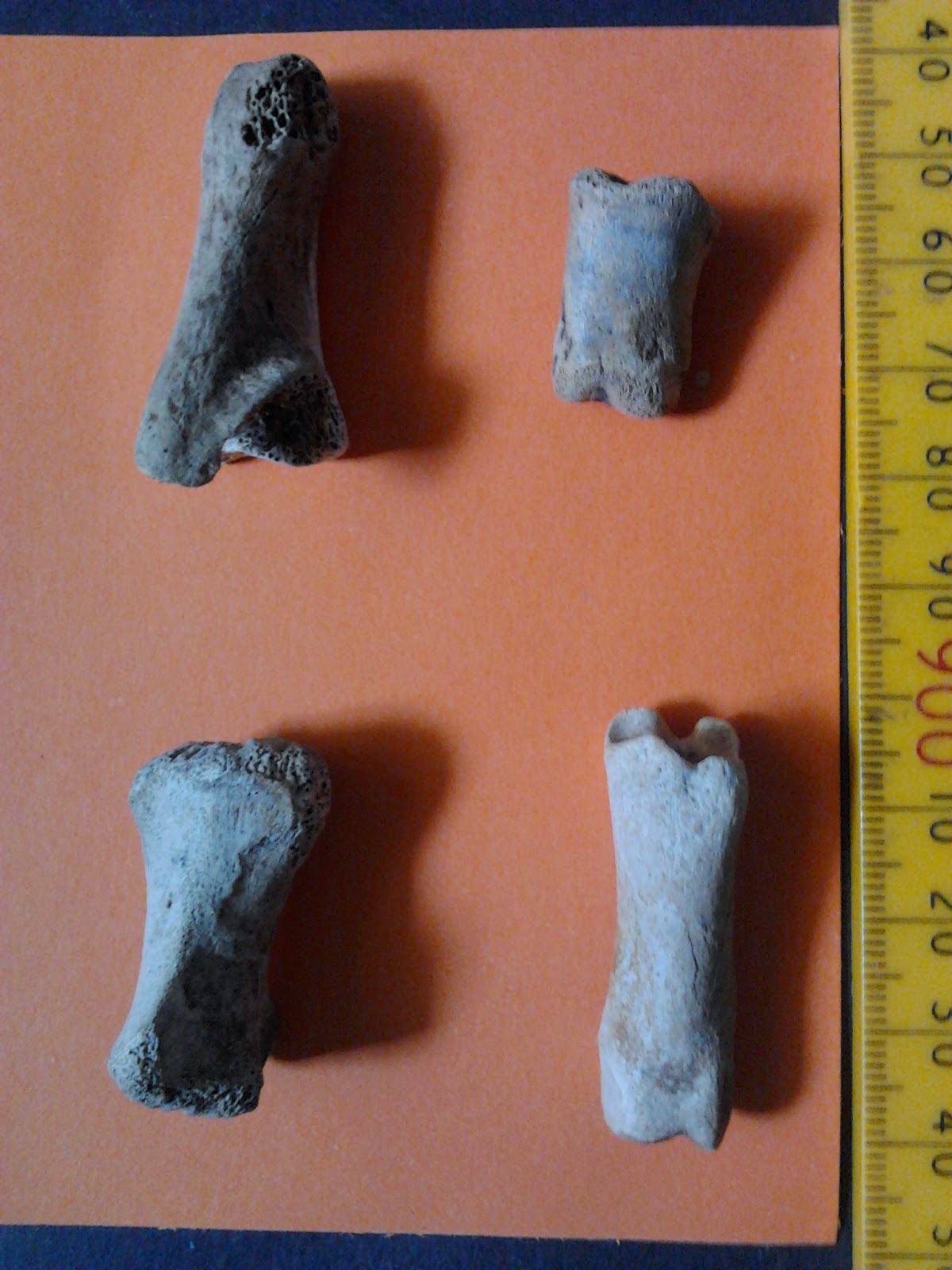 Aboriginal Prehistory Central Qld Area: Origins