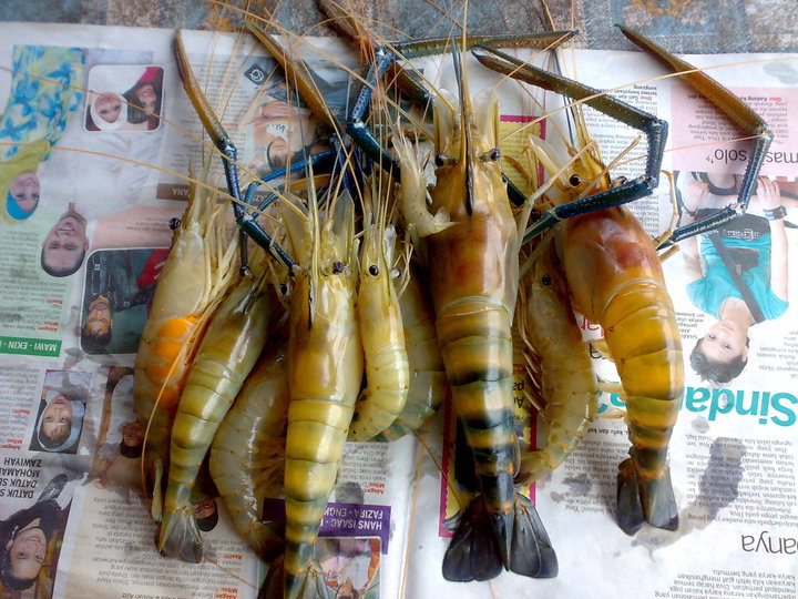 Earl Carl's Blog: Grandmother House