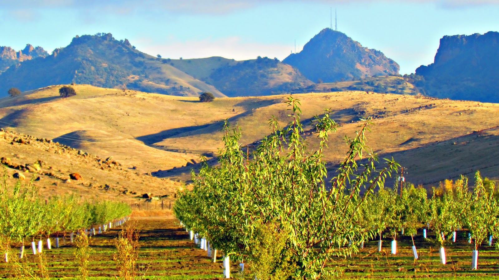Adventures of a Vagabond Volunteer: Meet the Sutter Buttes