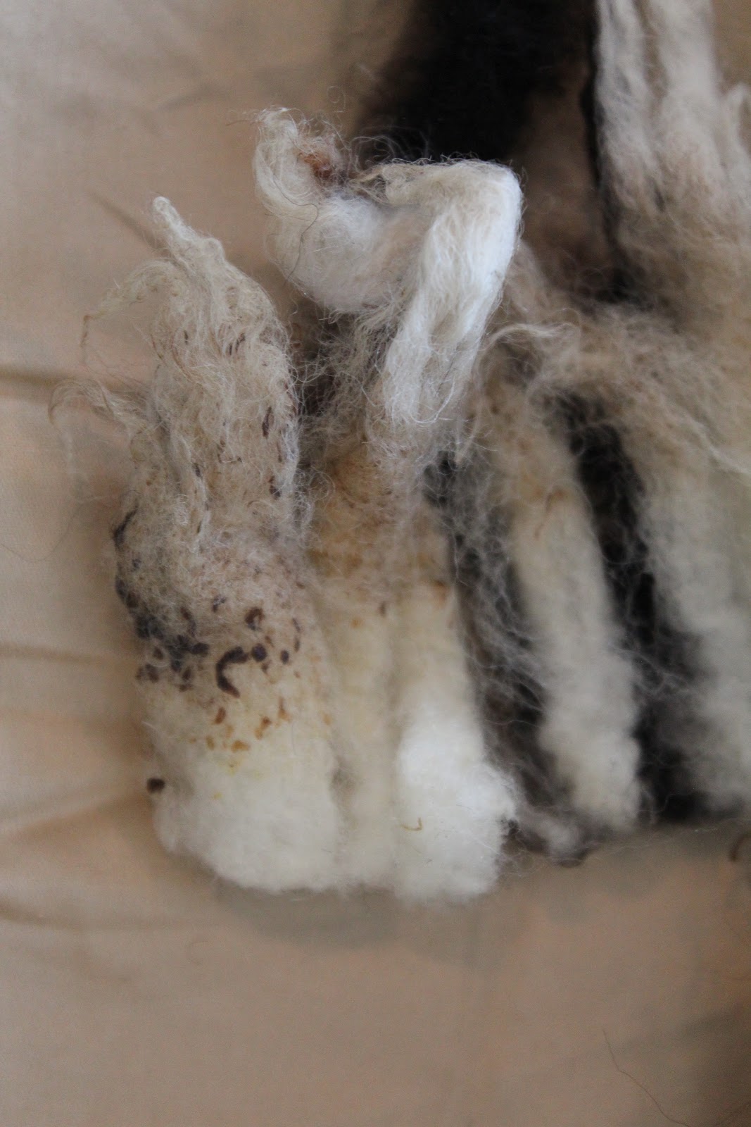 Skirting a Fleece