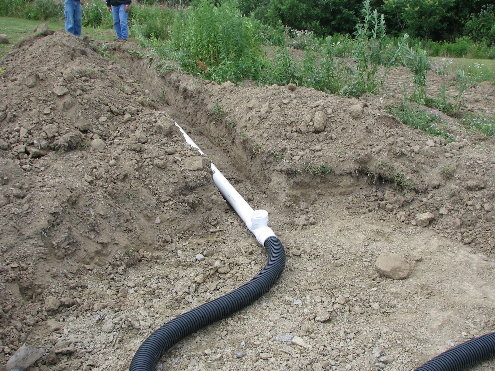 Headwaters Park: Rain Garden Project