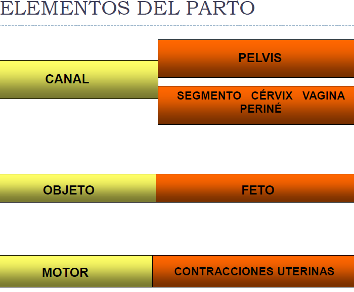 Edublog Enfermería: Parto normal