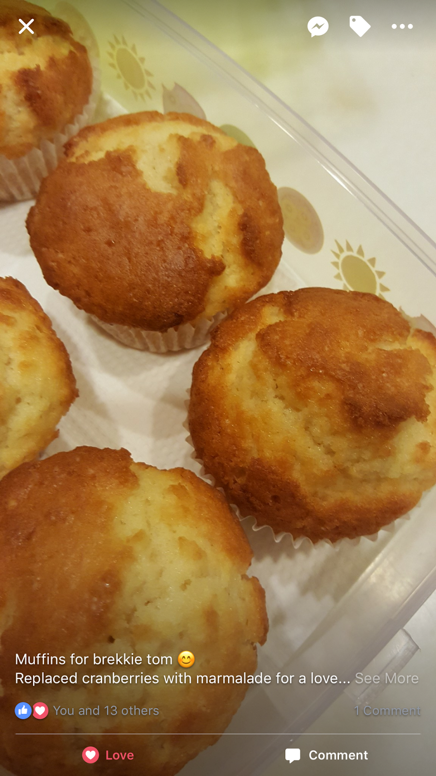 Miki's Food Archives : Easy Cranberry Muffin 蔓越莓麦芬