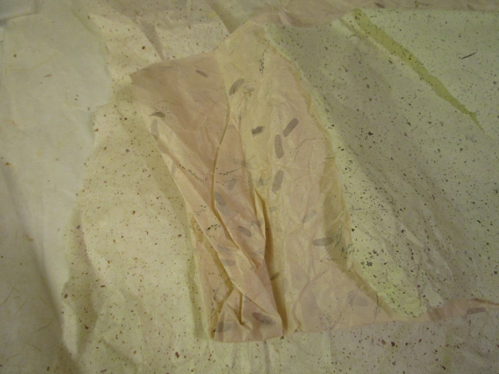 Fraught With Meaning