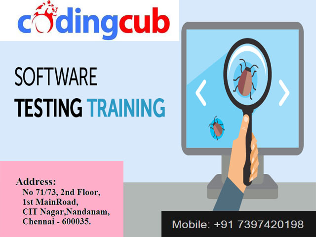 Software Testing