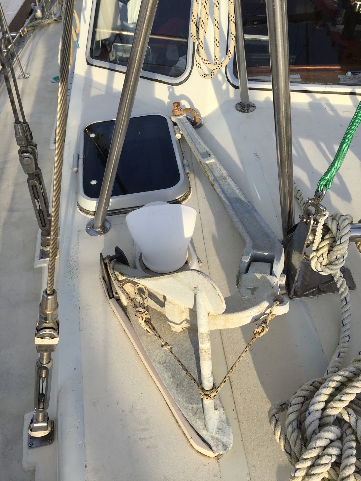 Denali Rose: A new best bower... [Anchor...] [Updated Jan-2023]