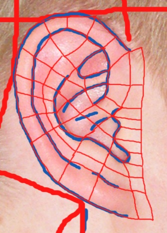 Virtual Environments