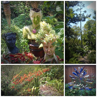 Dallas Waterwise Landscape Tour