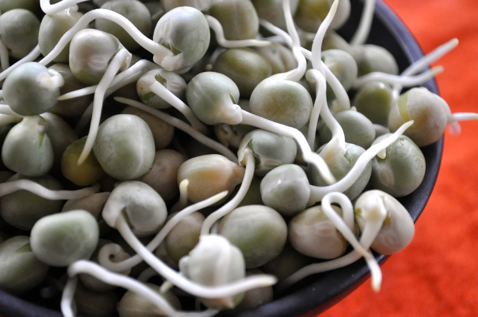 Cooking with Meena: Sprouted Green Peas Masala