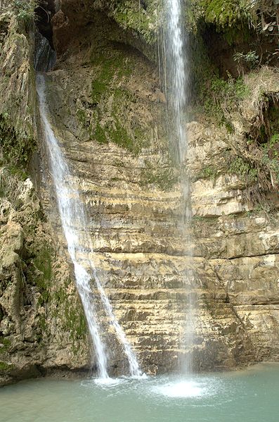 Ein Gedi - Exotic Travel Destination