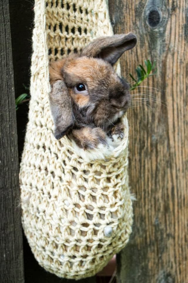 Way out where?: Bunny Sling