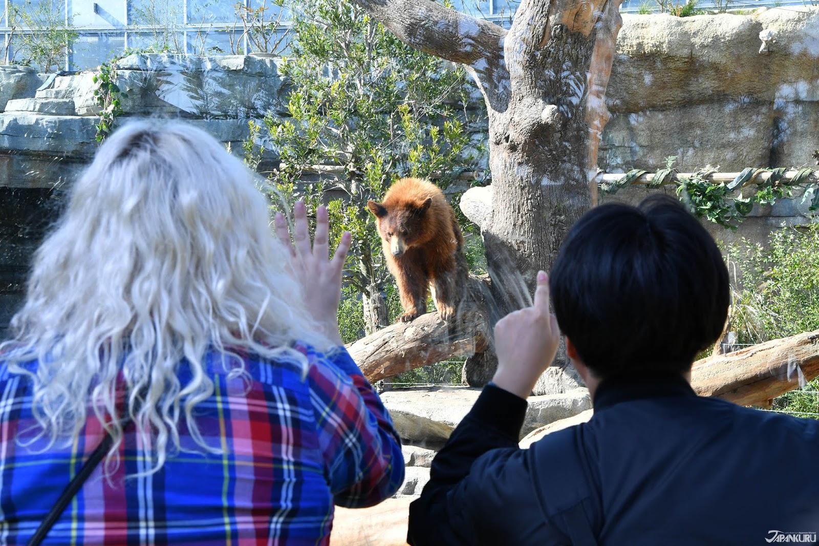 JAPANKURU: Things to do in Kobe 🐹 Top Japanese Zoo That Let's You ...