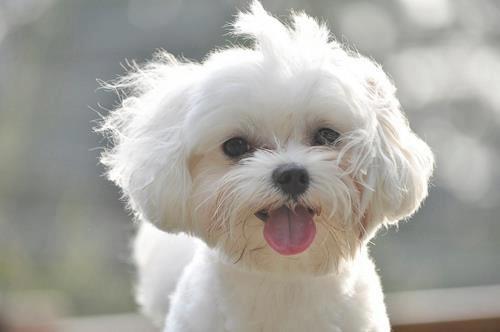 días de tormenta: de març 2012