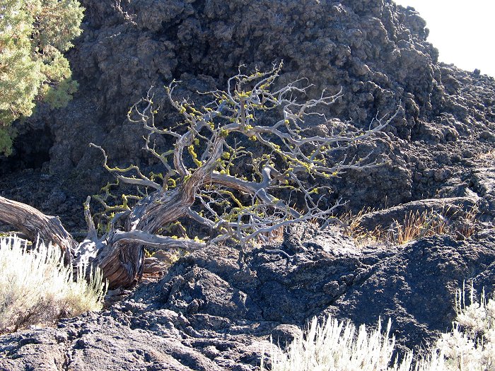 Graphic Firing Table: Battles Long Ago: First Stronghold 1873