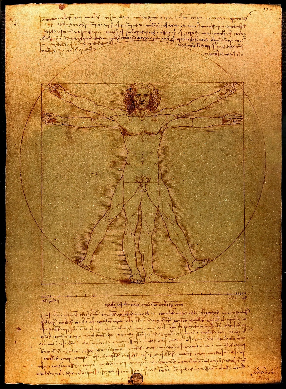 Lo mejor de la vida : Hombre de Vitruvio Leonardo da Vinci 1490