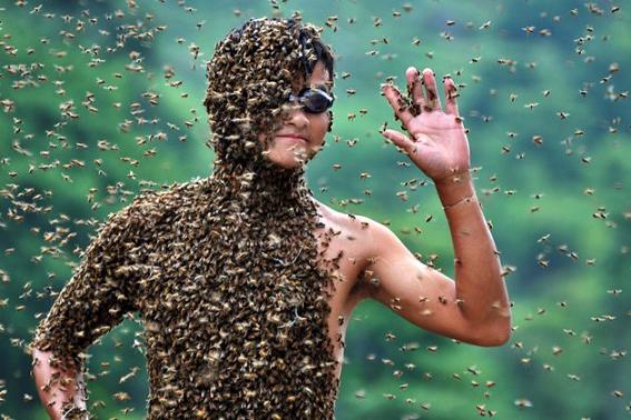 Bee man photos: Amazing bee man pictures gallery | Ajab Gajab Photos