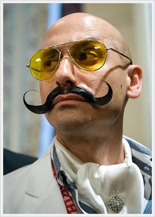 Amazing facts and Amazing Things: Moustache - Beard Championship ...