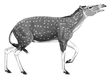 Escenarios prehistóricos: Archaeohippus
