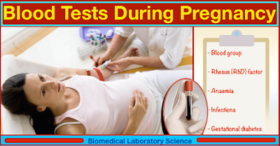 Know Blood Tests During Pregnancy