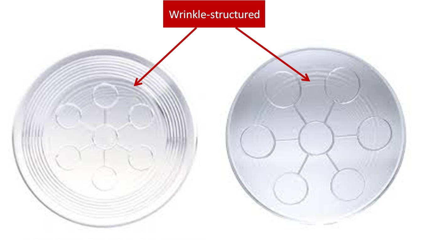 What is It That I See in My New Bio Disc? | Bio Disc