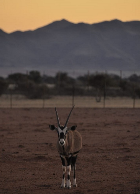 Namíbia com criança: roteiro de 16 dias - Felipe, o pequeno viajante