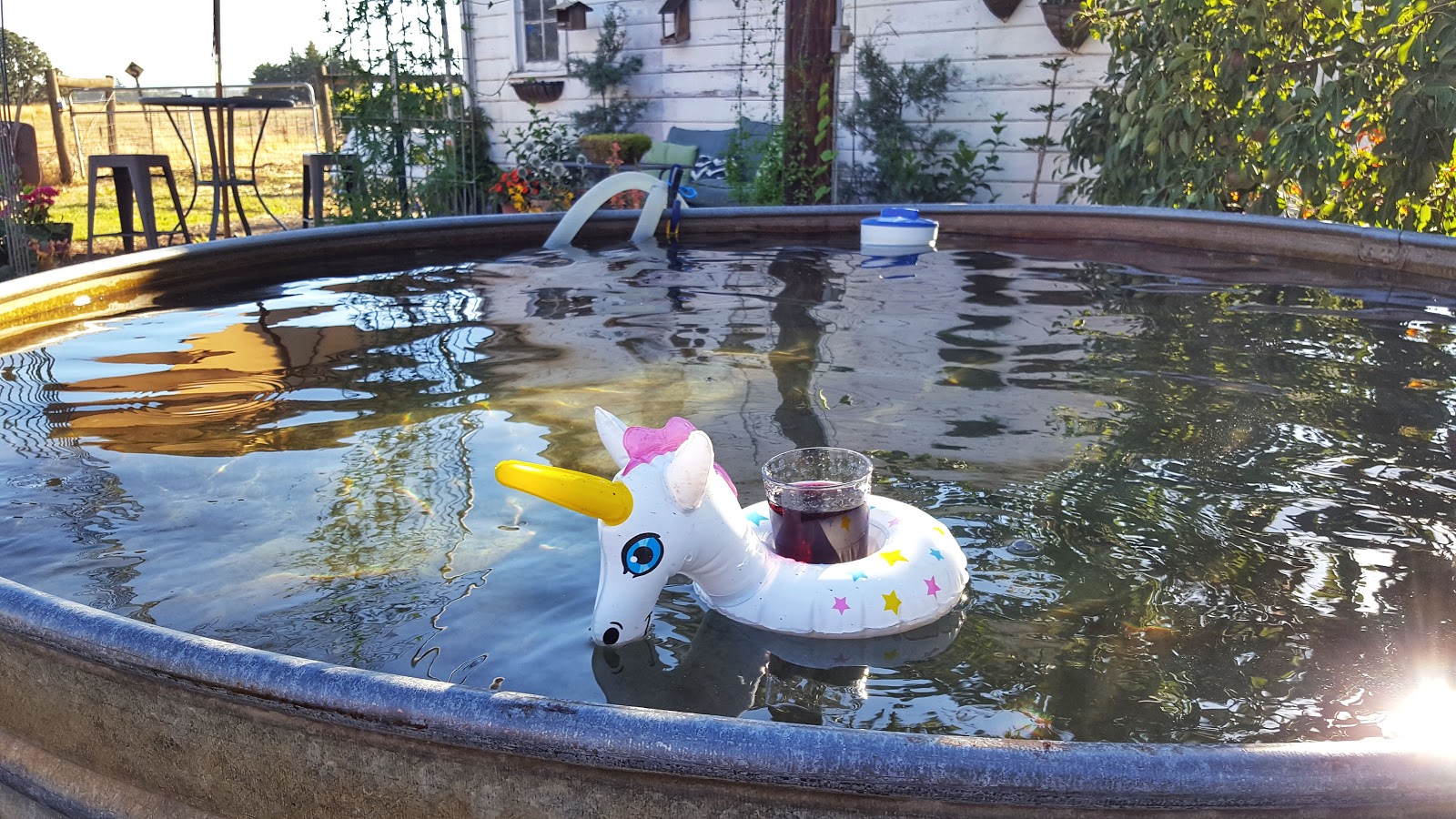 Rindy Mae: The Redneck Pool and Rainbow Garden