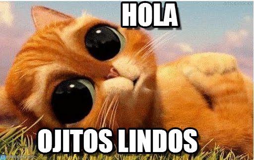 DI TODO LO QUE SIENTES