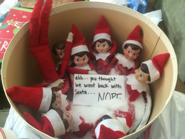 The Rowdy Kids in 3: Our Elf Infestation
