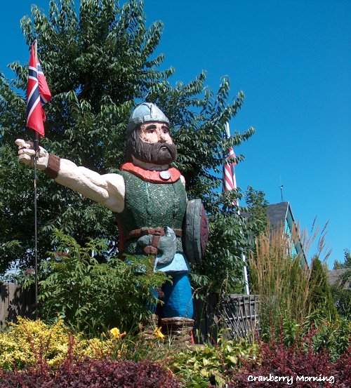 Cranberry Morning: Westby, Wisconsin