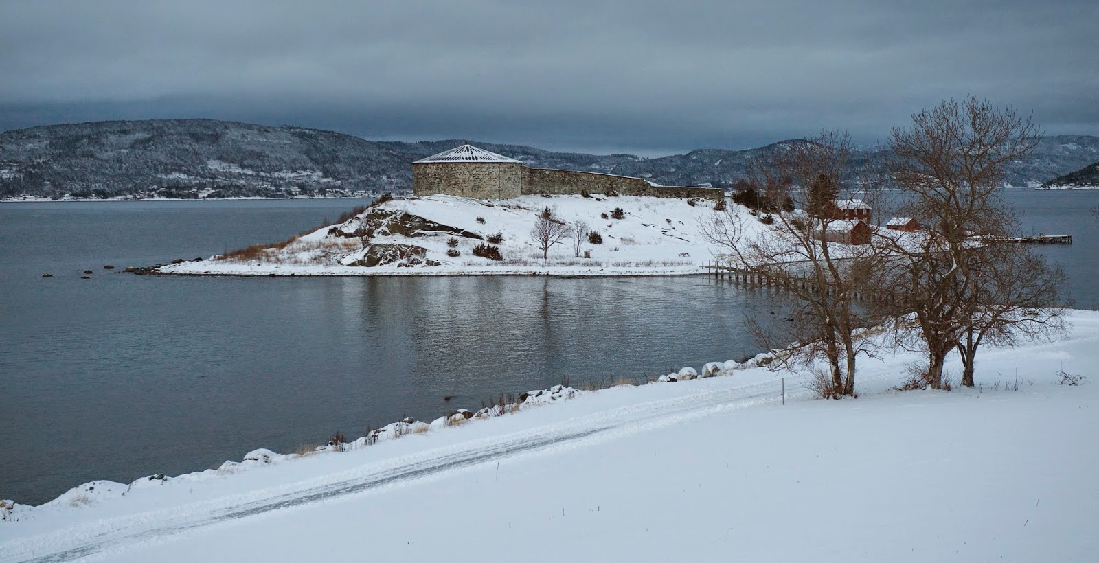 Naturfoto Einar Hugnes: Sidensvans, fjæreplytt, skjærpiplerke ...