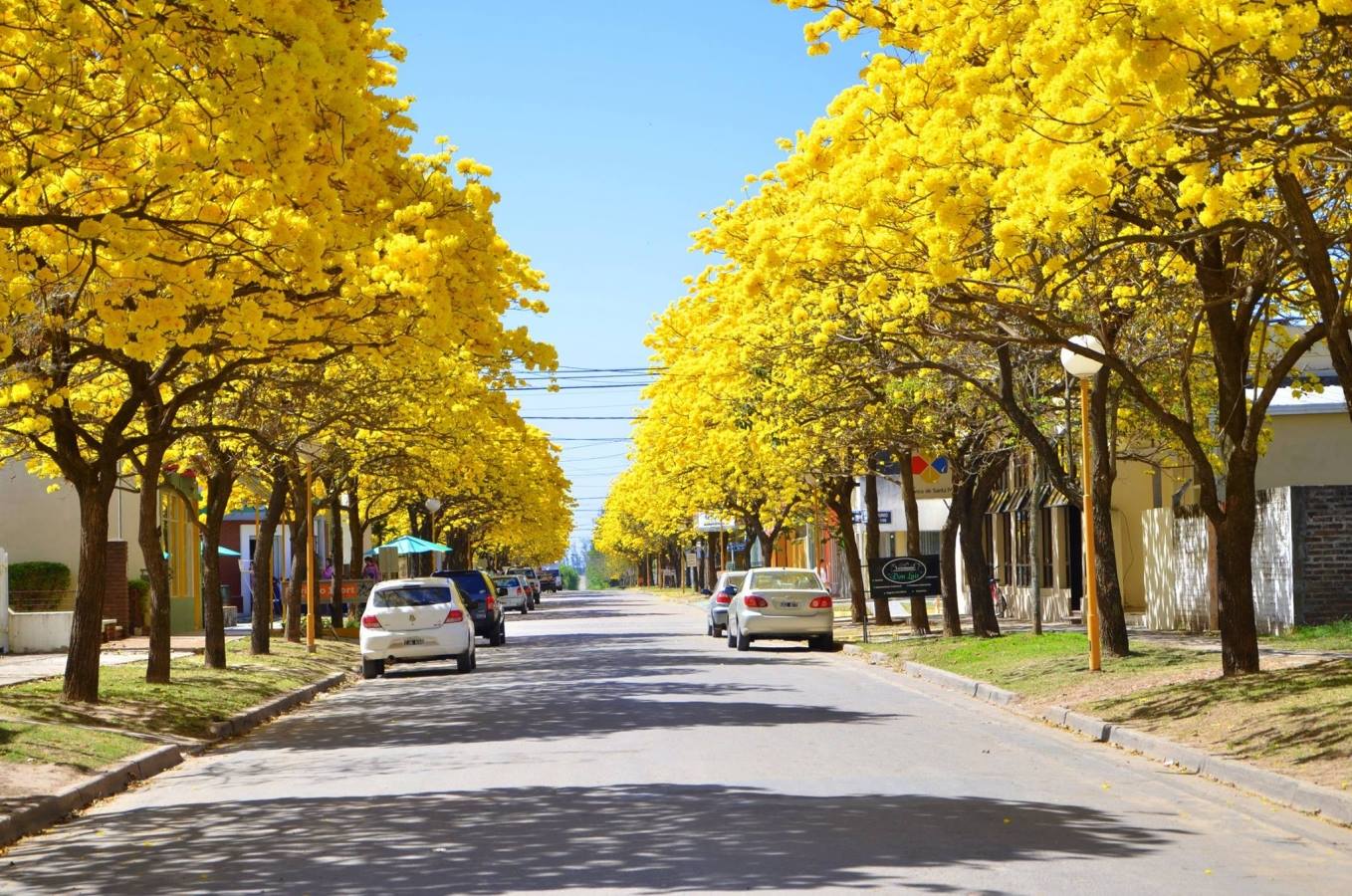 Destinos Santa Fe - Romang