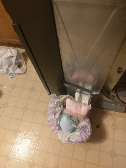 The Diaper Service: Plan A The Waste-to-energy plant (Continued-1)