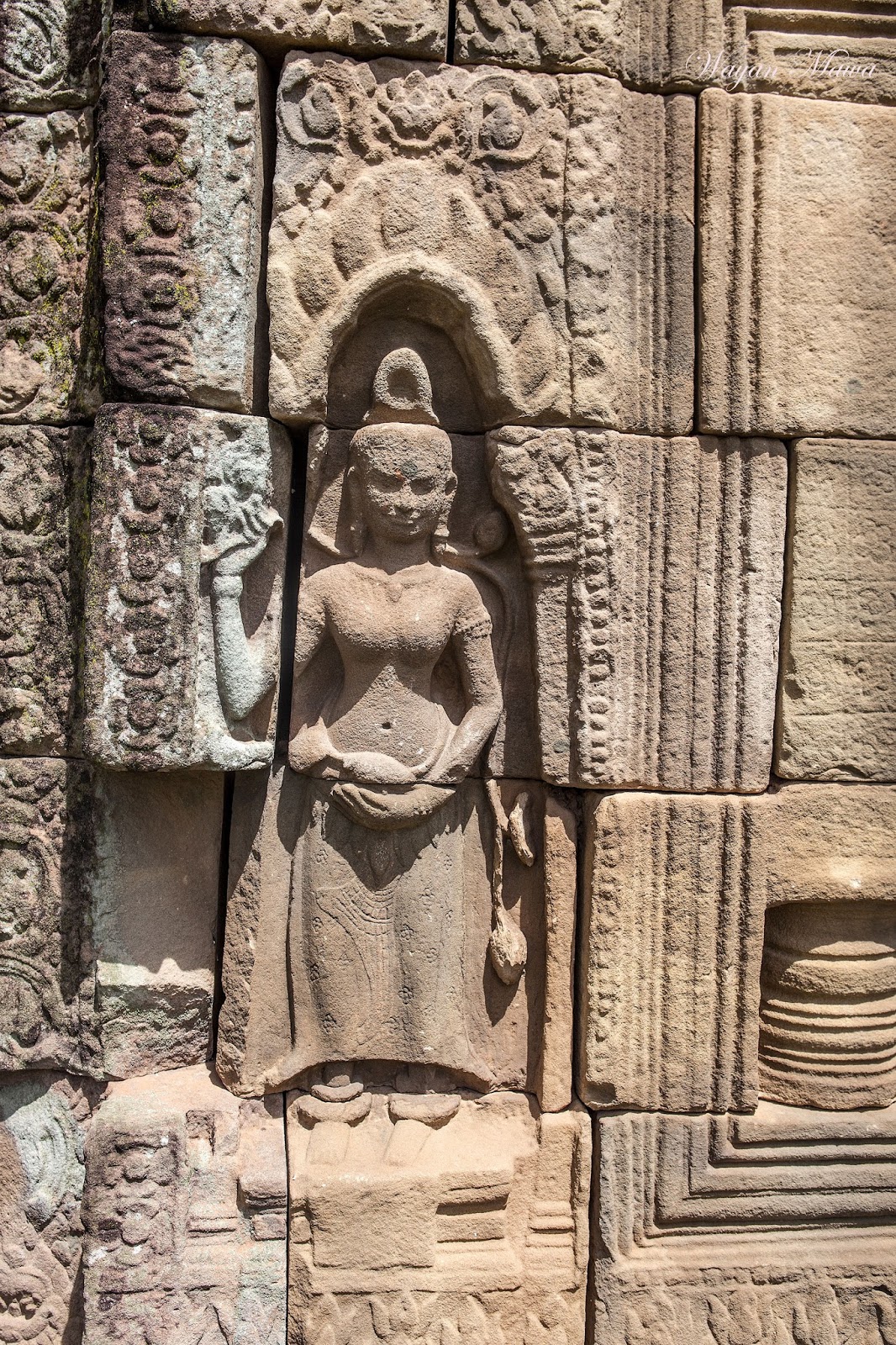 Mawanusa Blog: The Apsaras and Their Pets