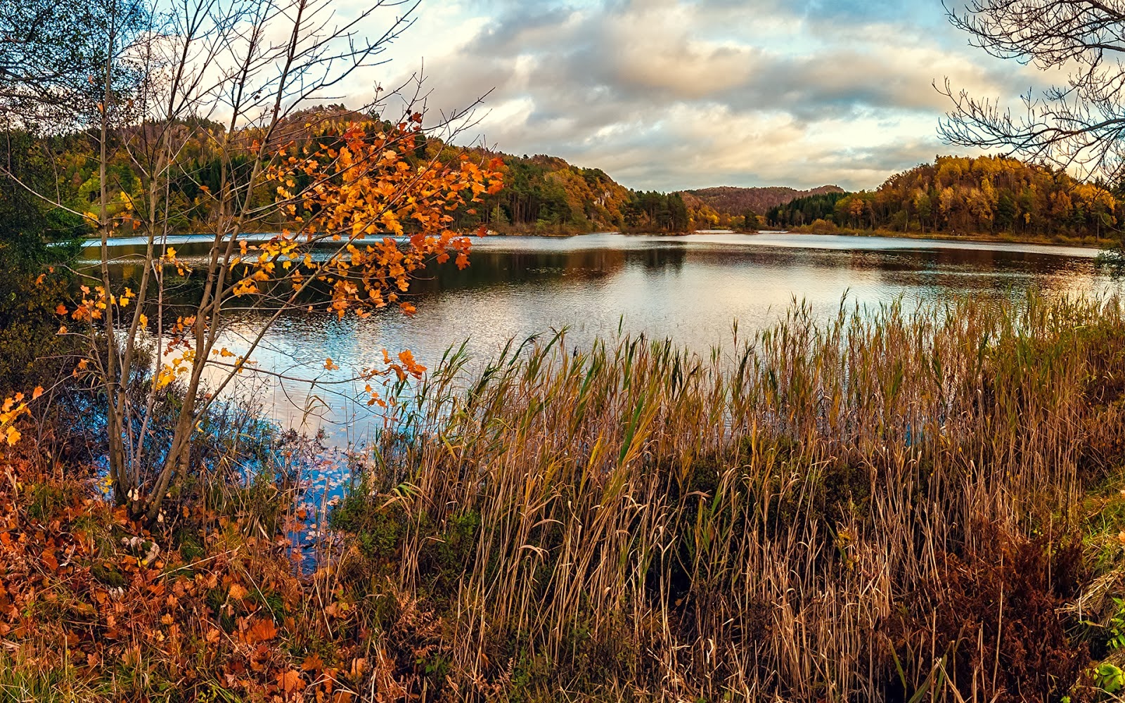 Nature Photos HD: Latest Natural Wallpapers in HD