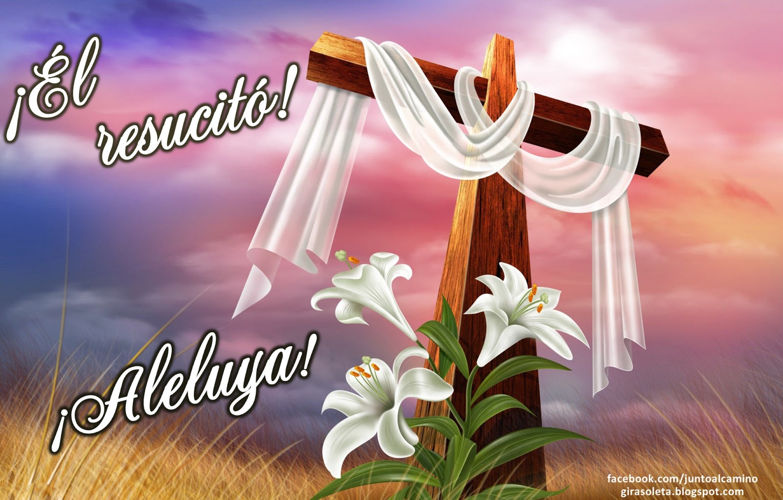 Junto al Camino: ¡RESUCITÓ!