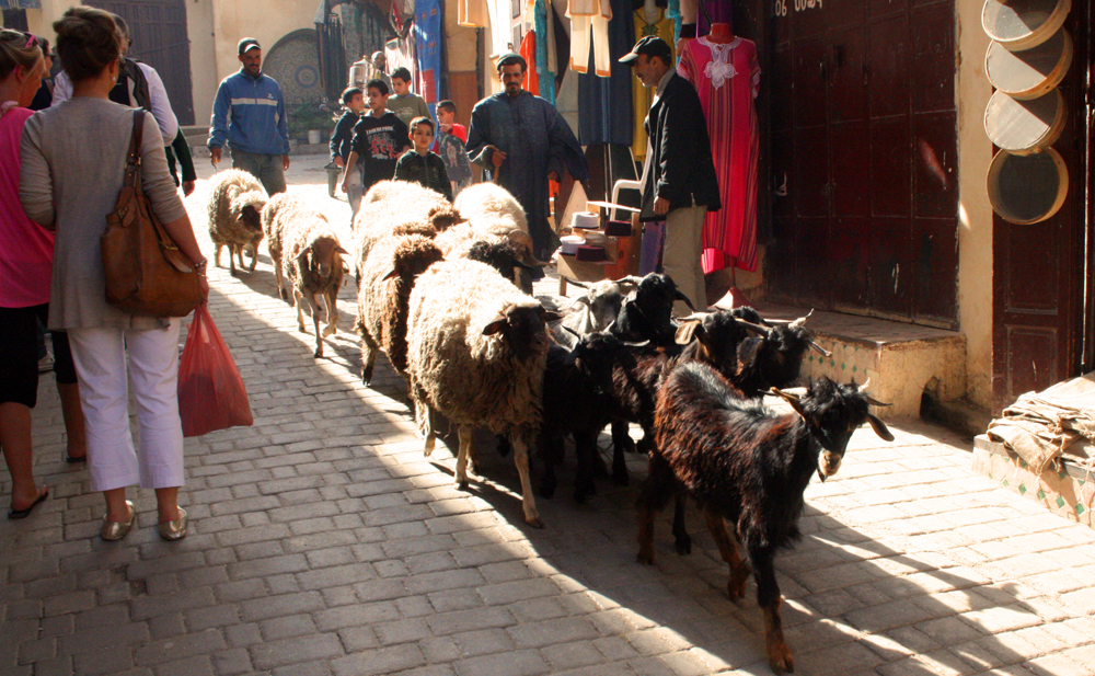 THE VIEW FROM FEZ: Preparing for Eid al-Adha in Fez