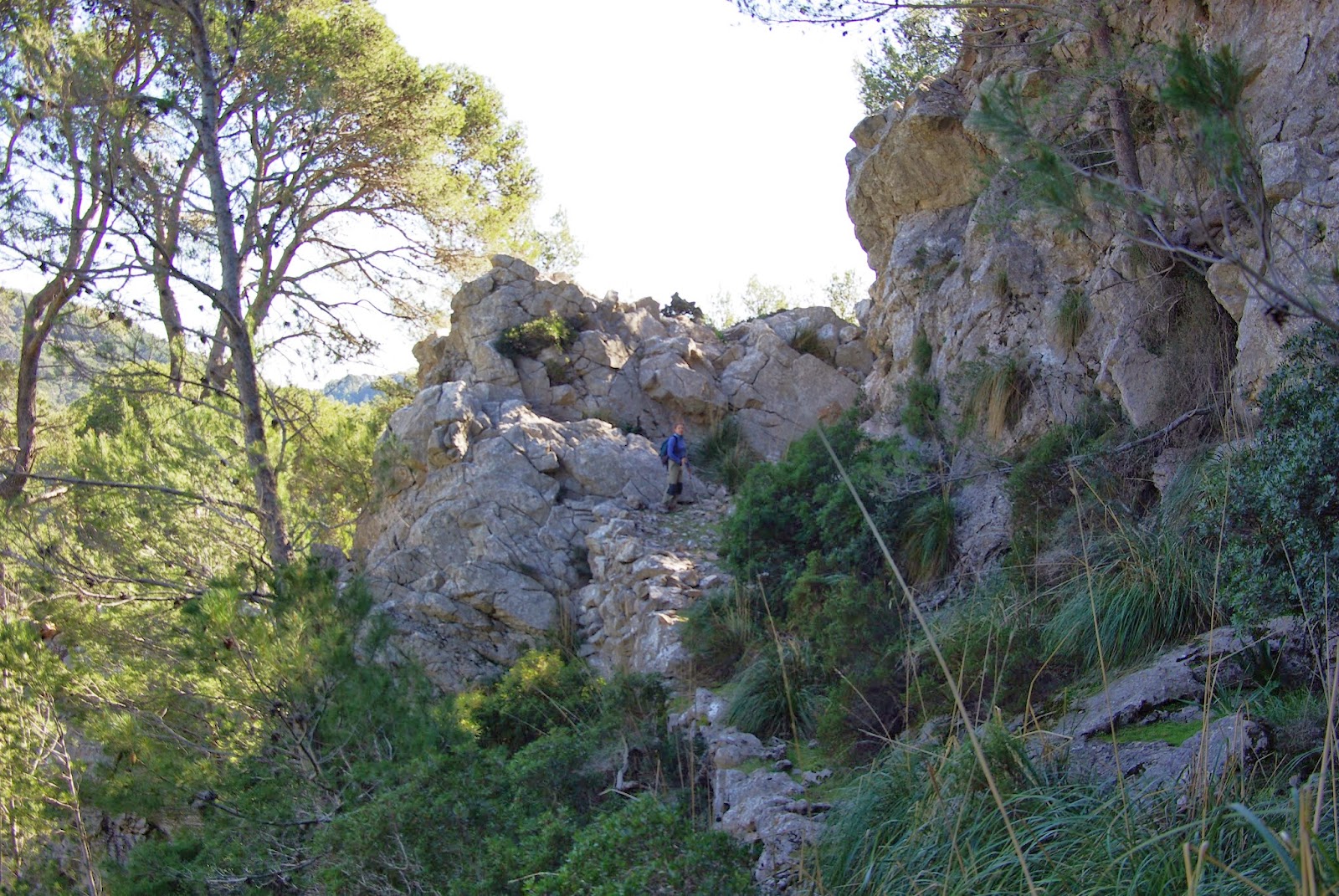 TRESQUES PER TRAMUNTANA: ES CASTELLOT
