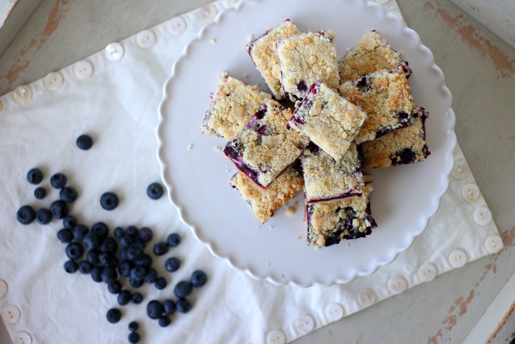 A Delightful Dish: Blueberry Bars