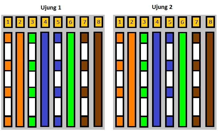 [Terlengkap] Urutan Kabel LAN beserta Fungsinya - Borneo Channel