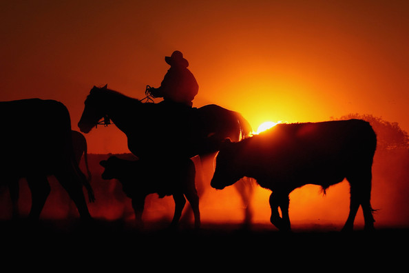 Australia travel | Australia travel Guide: The Great Australian Outback ...