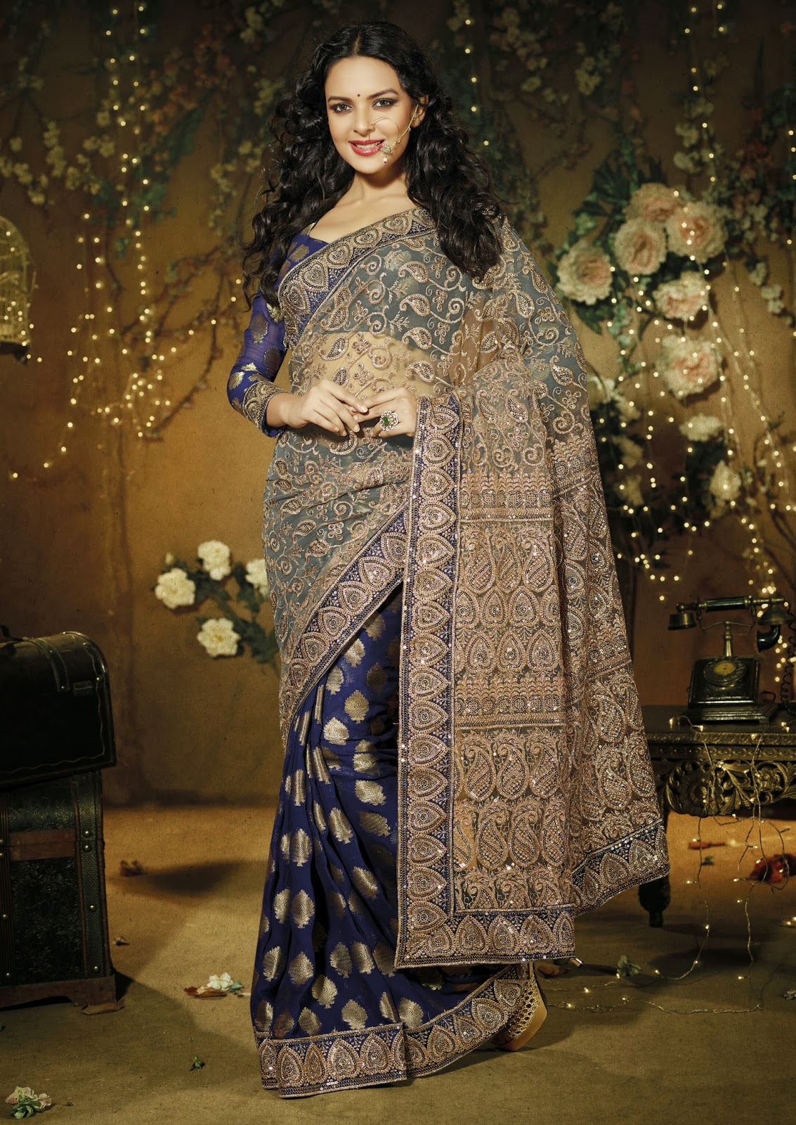 Designer Sarees Images: Festive Season Saree Collection