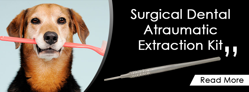 Surgical Dental Atraumatic Extraction Kit is Accessible in the Market