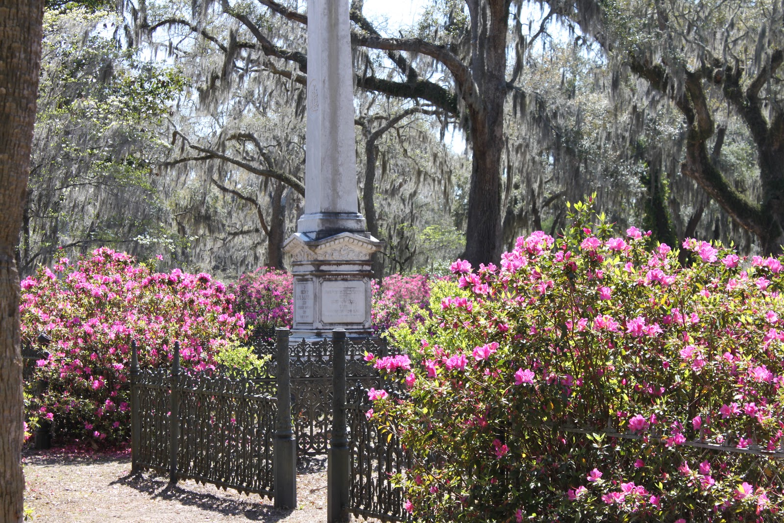 Southern Exposure Tour